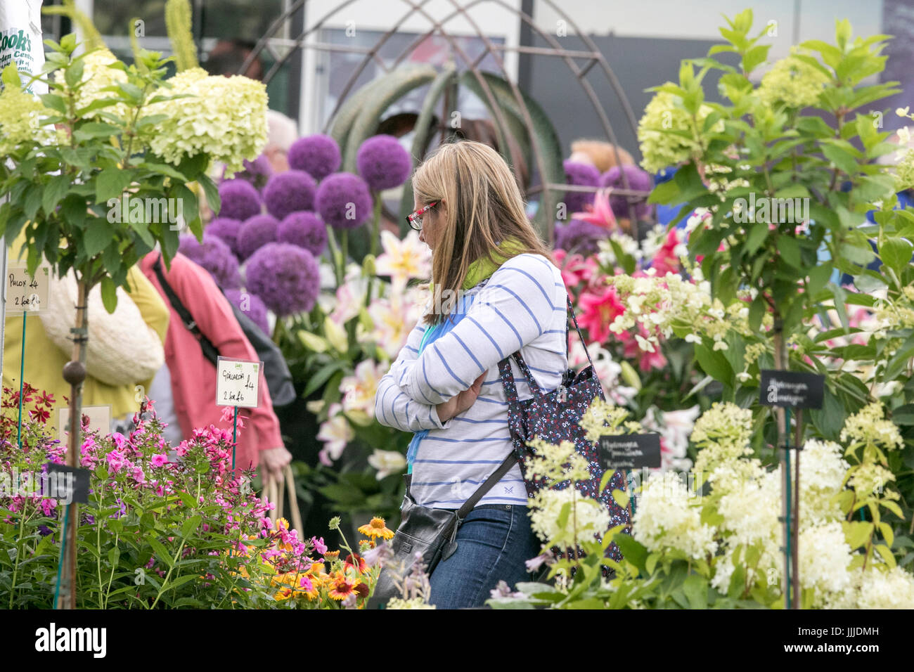 Rhs Tatton Park Flower Show Knutsford Cheshire 20th July 2017 Day