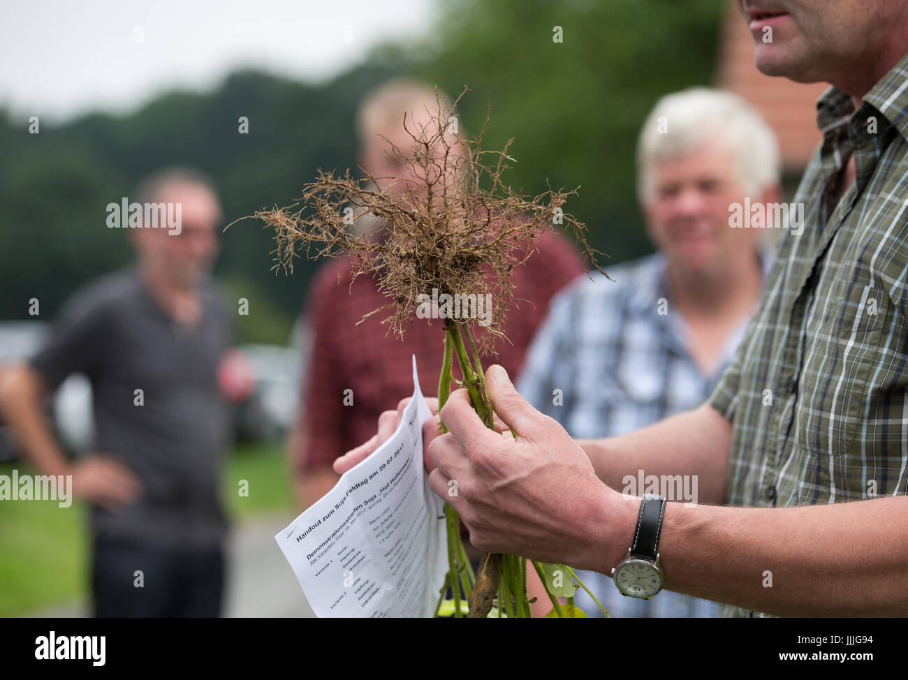 Belm, Germany. 20th July, 2017. The roots of a soy plant of the Merlin ...