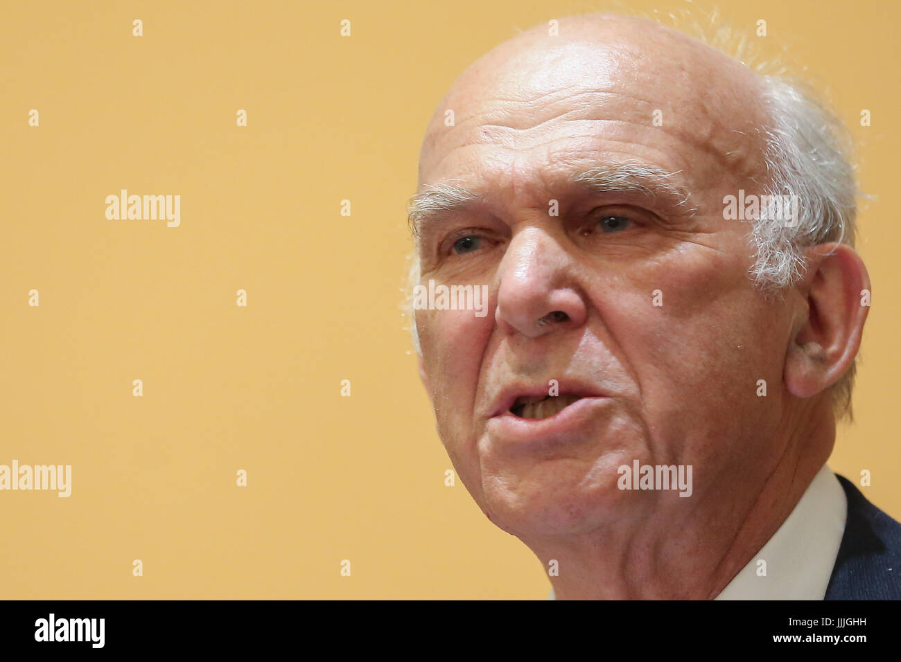 London, UK. 20th Jul, 2017. Sir Vince Cable. Twickenham MP and former ...