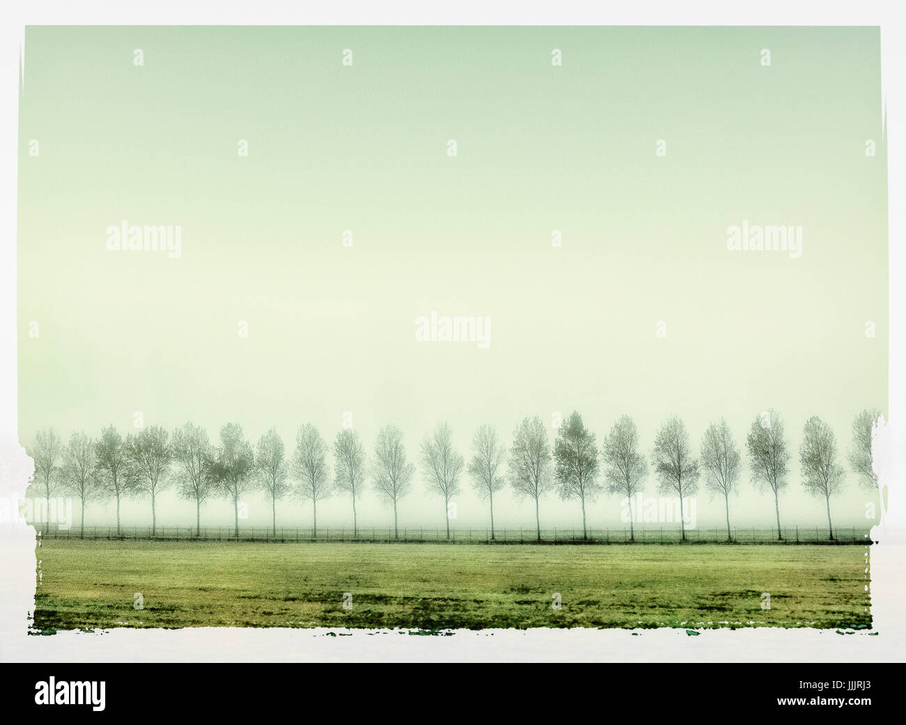 Another view with border treatment hi-res stock photography and images ...