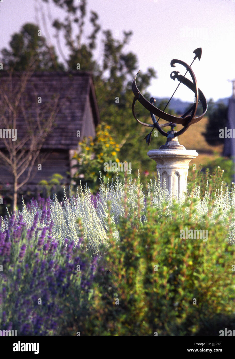 Garden with sun dial, ornamental decor, vintage barn, lavender Stock ...