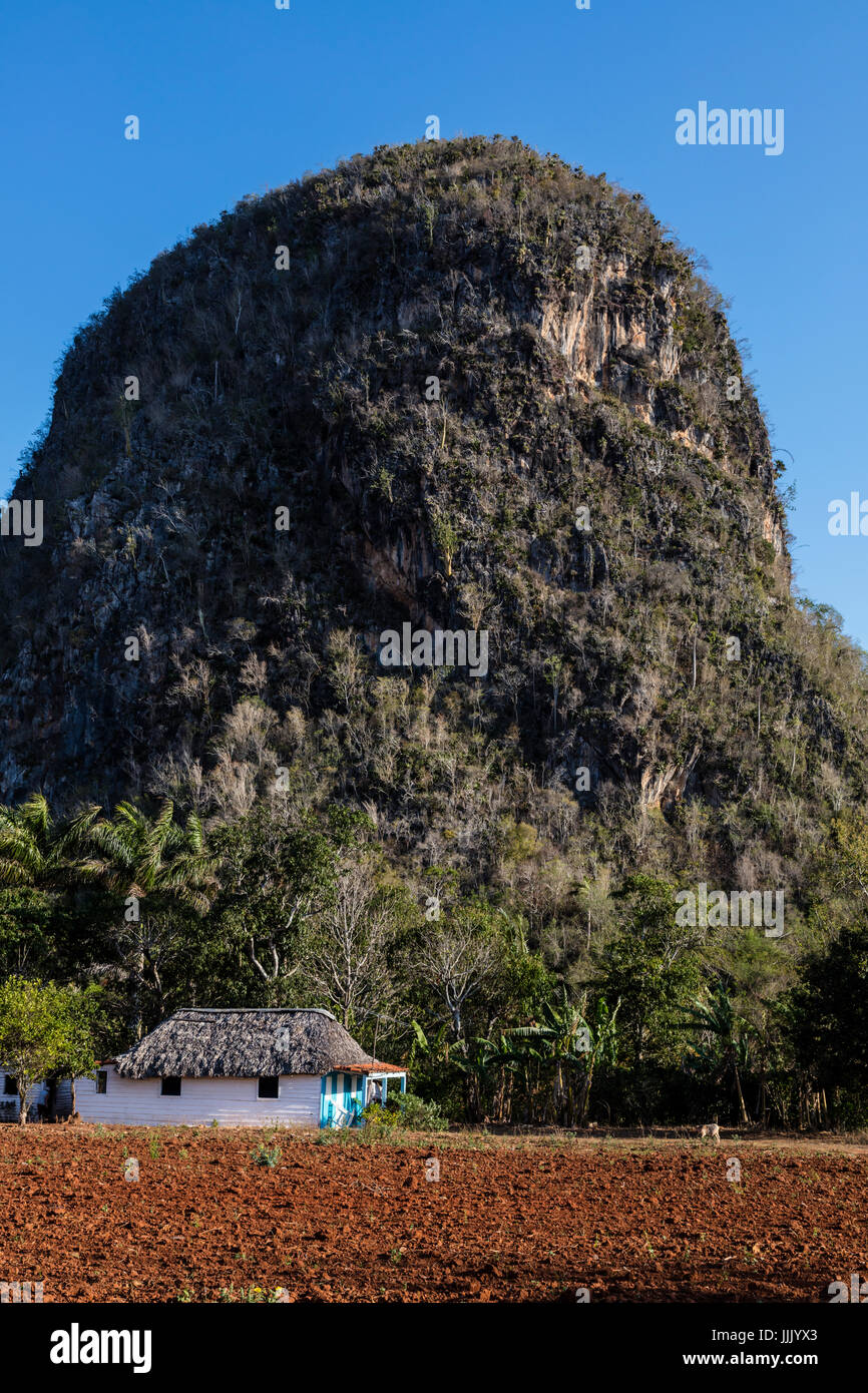 Karst formation tower above a farm just outside Vinales National Park ...