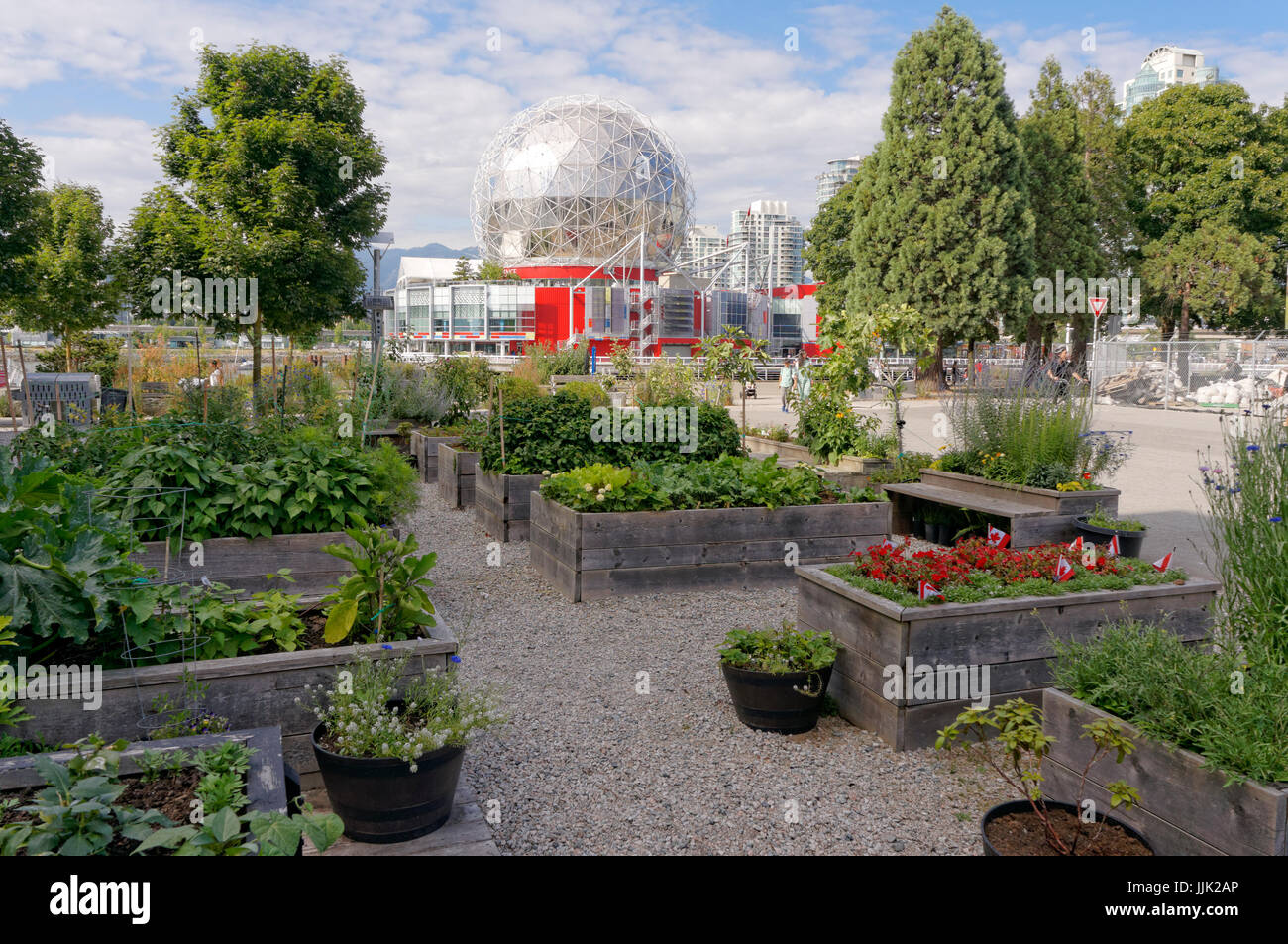 Collaborative community garden at the The Village on False Creek and ...