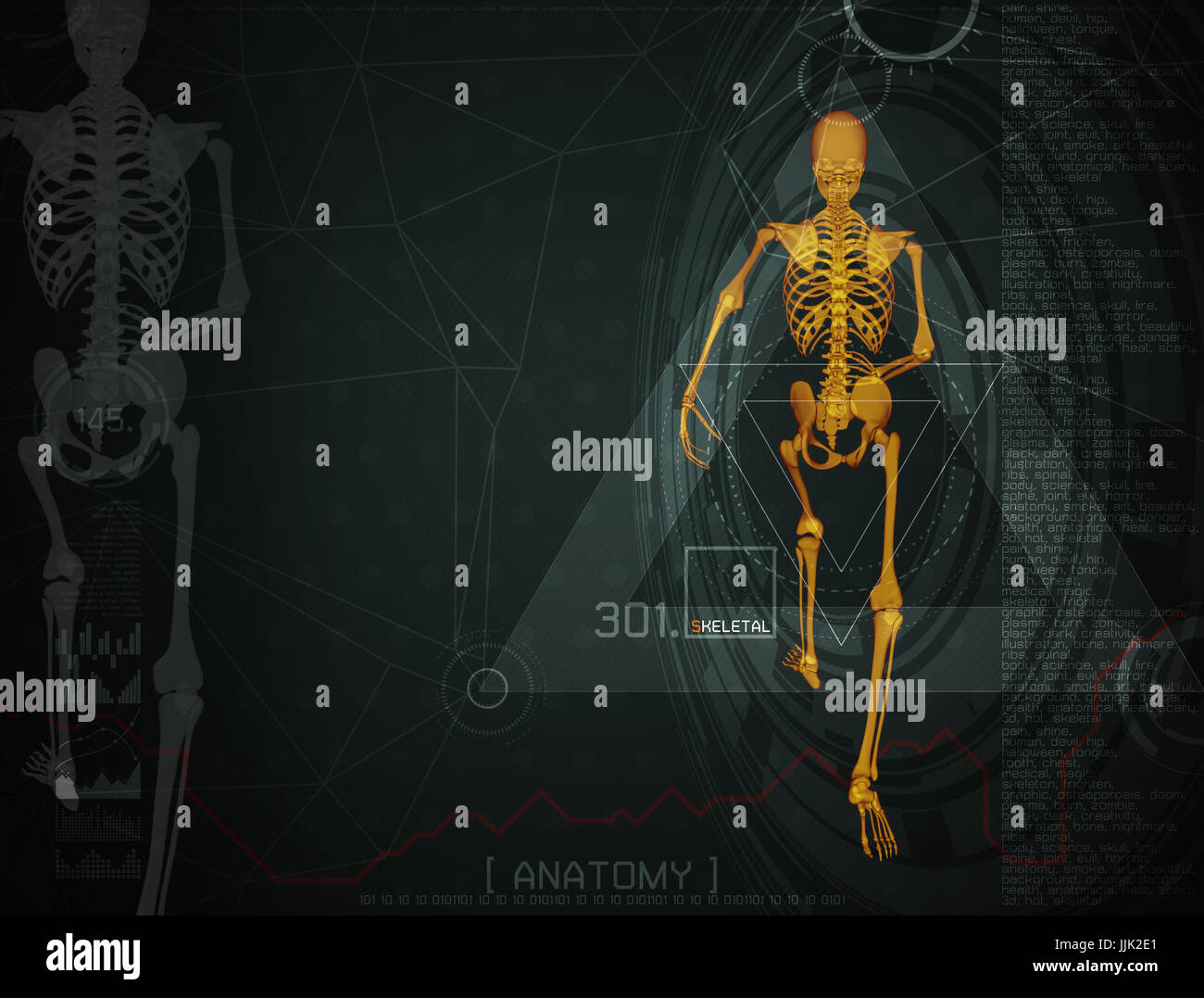 3d human body x rays 3d hi-res stock photography and images - Alamy