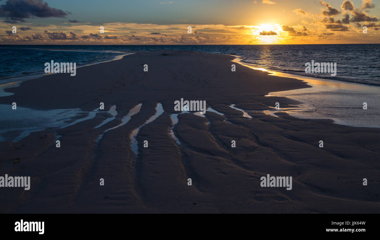 Sand bank at sunset, Gangehi Island, Ari Atoll, Indian Ocean, Maldives ...