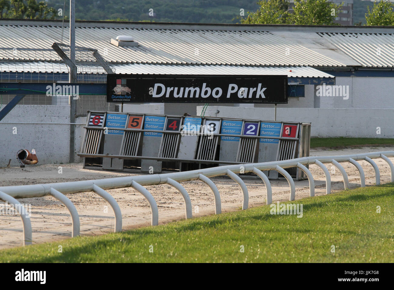 Greyhound starting trap hi-res stock photography and images - Alamy