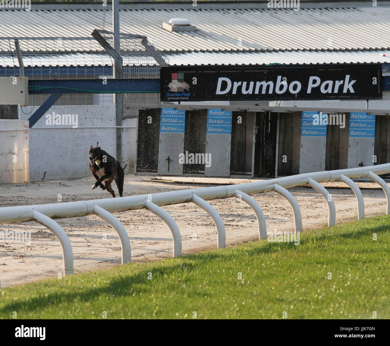 Greyhound track traps hi-res stock photography and images - Alamy