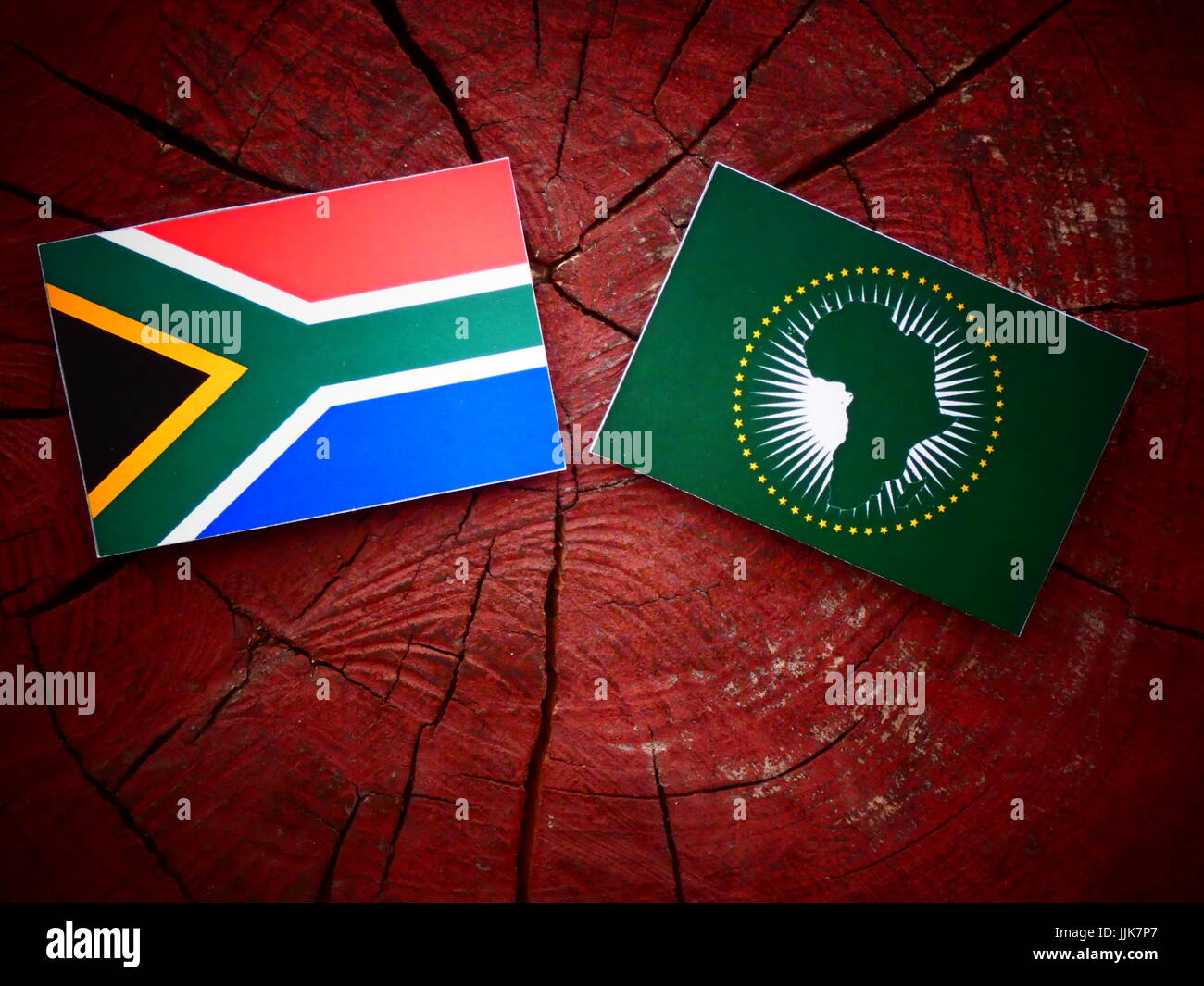 South African flag with African Union flag on a tree stump isolated ...