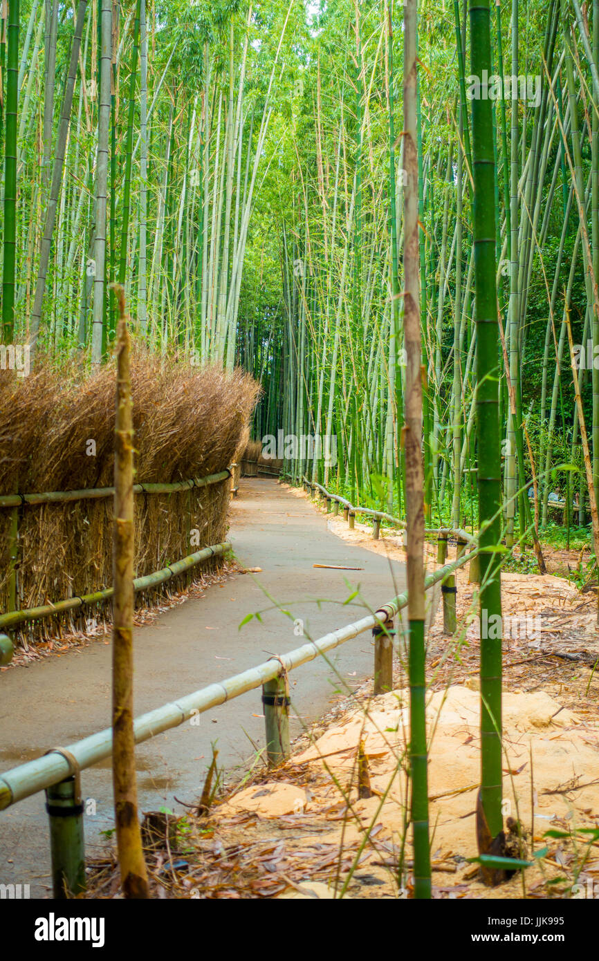 Path to bamboo forest, Arashiyama, Kyoto Japan Stock Photo - Alamy