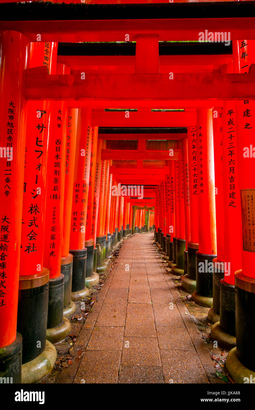 KYOTO, JAPAN - JULY 05, 2017: Red Tori Gate at Fushimi Inari Shrine in ...