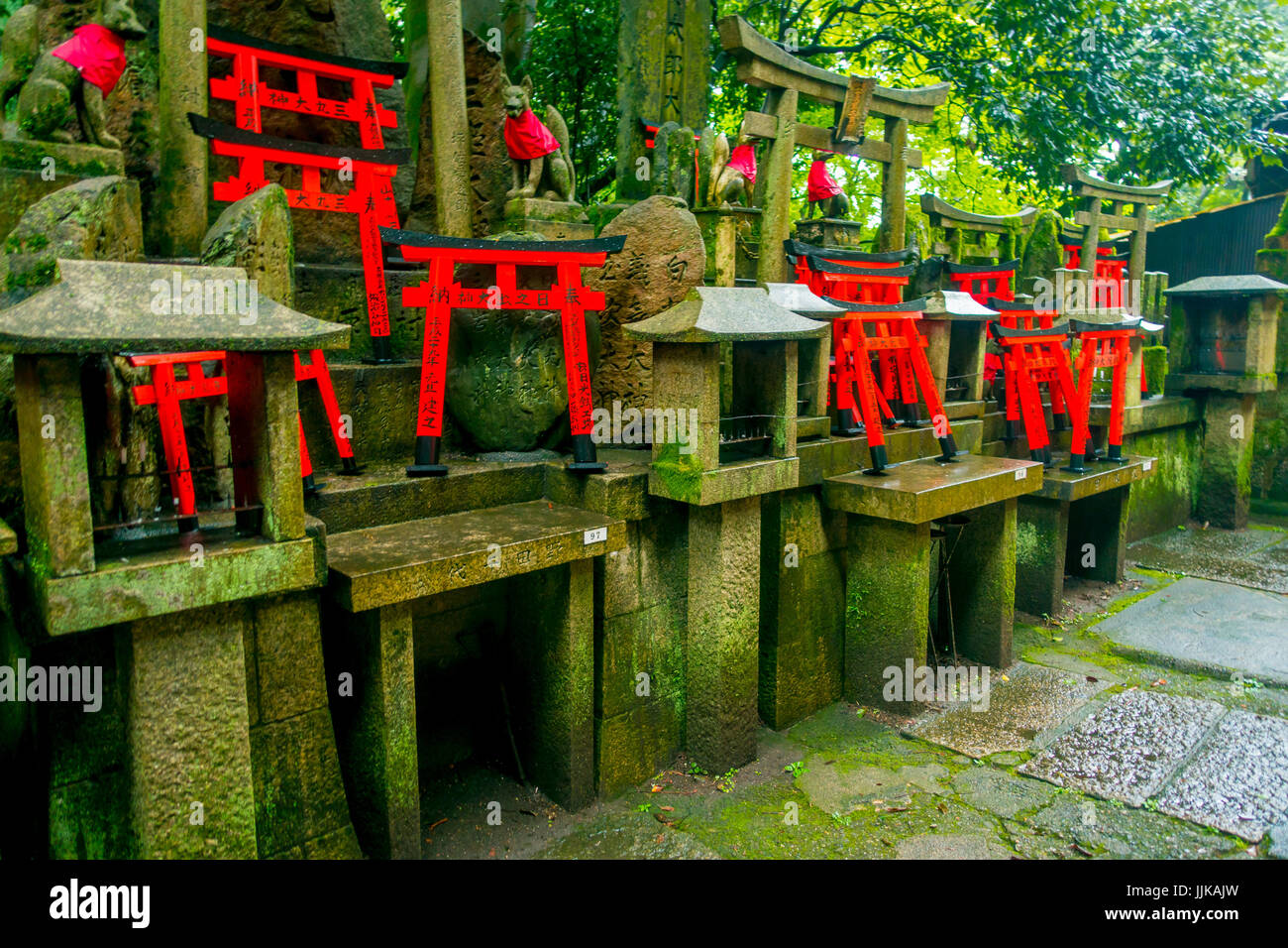 KYOTO, JAPAN - JULY 05, 2017: Torii gates of Fushimi Inari Taisha ...