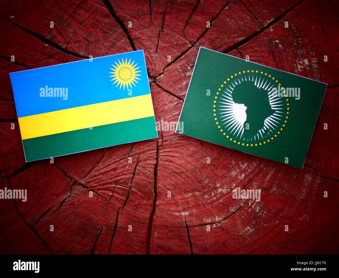 Rwanda flag with African Union flag on a tree stump isolated Stock ...