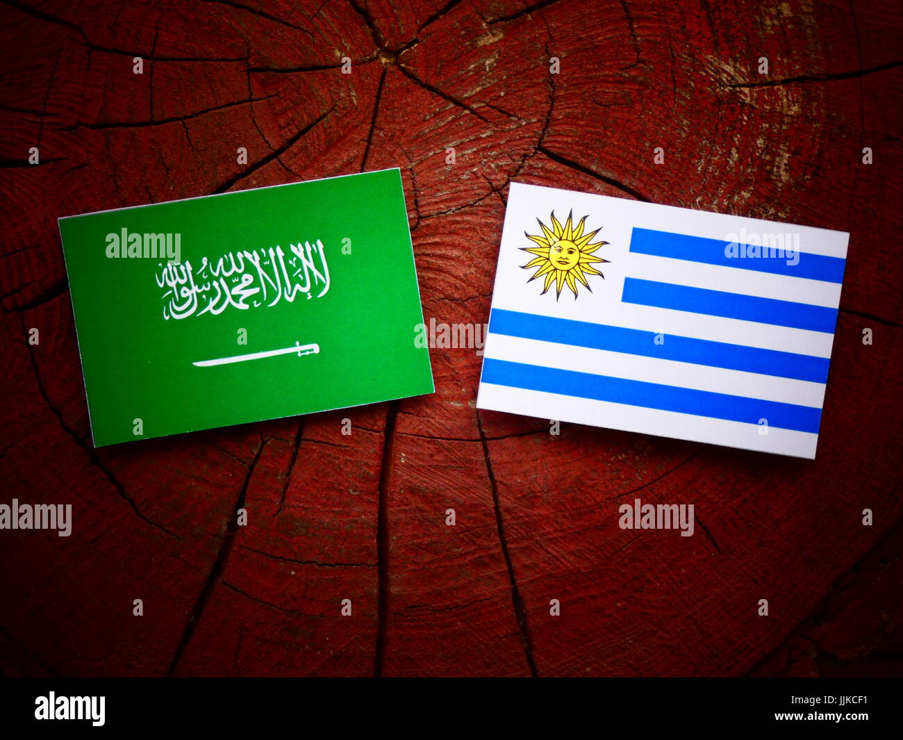 Saudi Arabian flag with Uruguaian flag on a tree stump isolated Stock ...