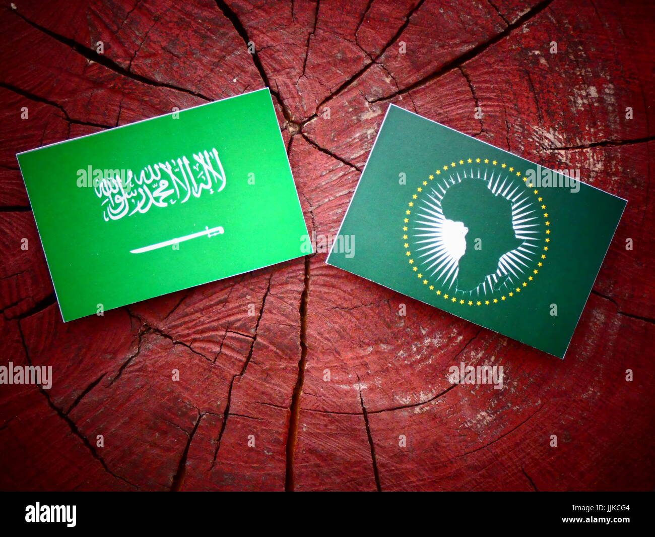 Saudi Arabian flag with African Union flag on a tree stump isolated ...