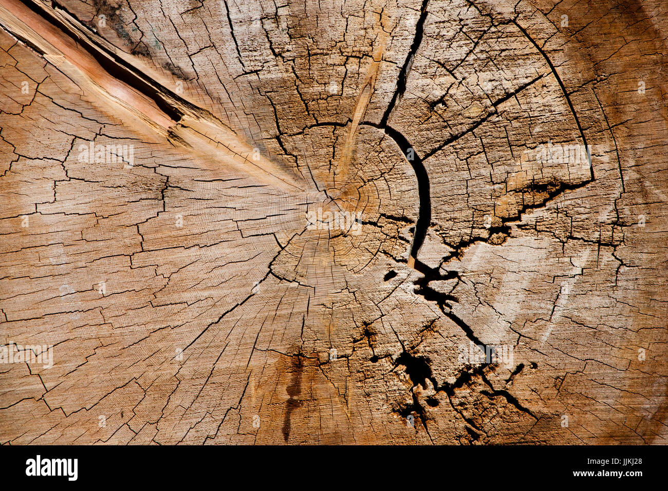 Wood cracks hi-res stock photography and images - Alamy