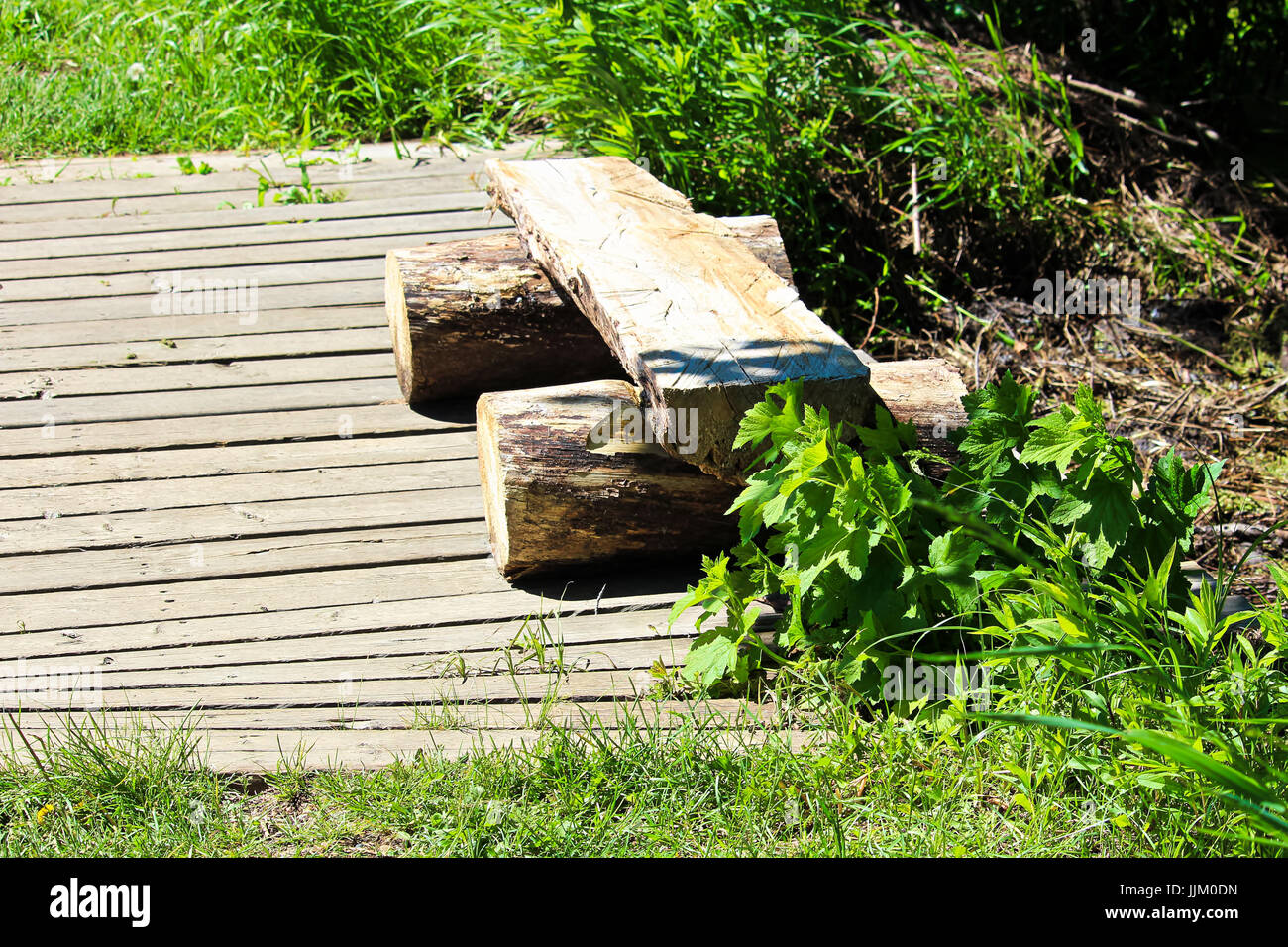 A split log wooden bench on a boardwalk trail Stock Photo - Alamy
