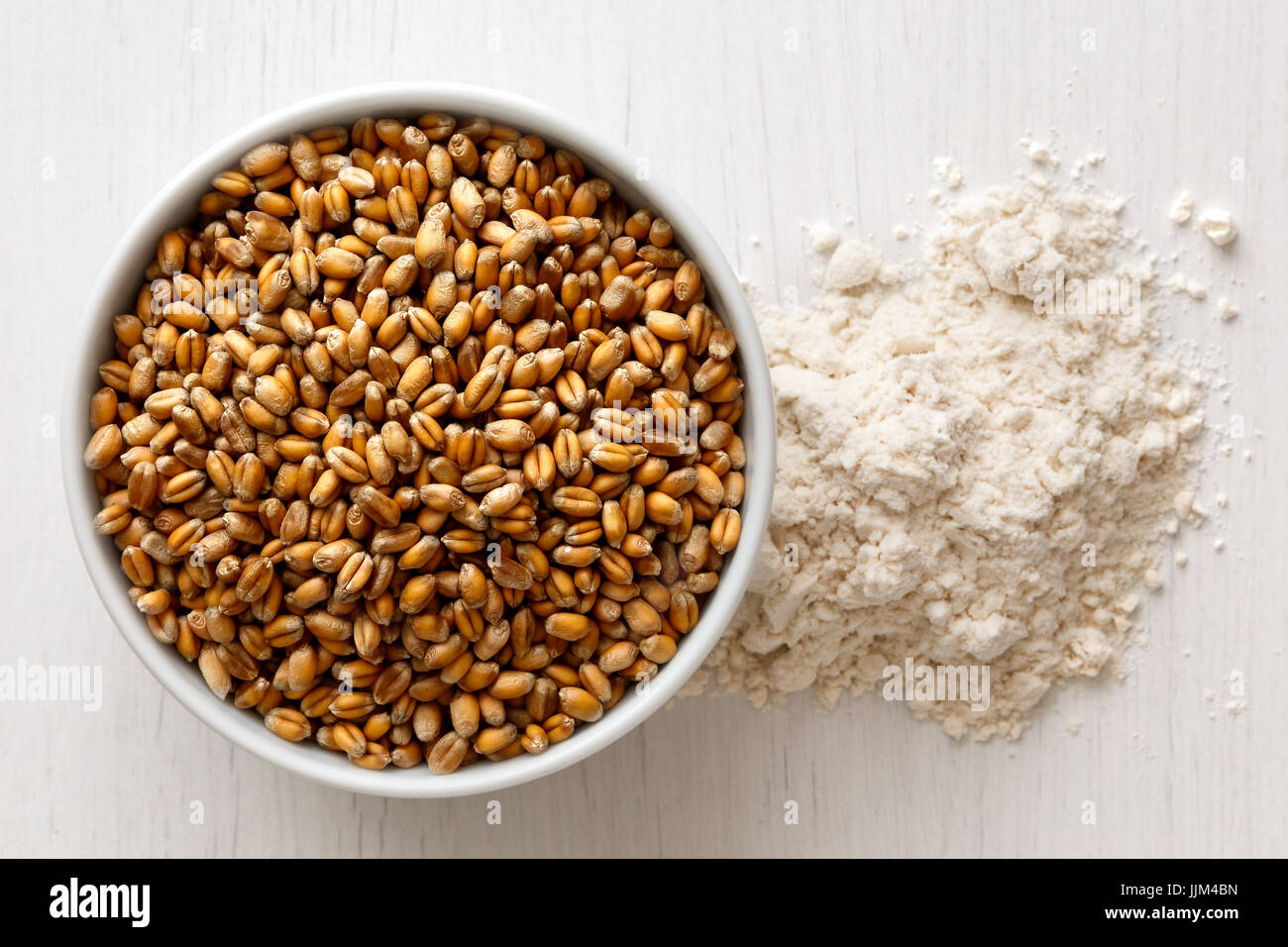 Winter wheat kernels in white ceramic bowl isolated on painted white ...