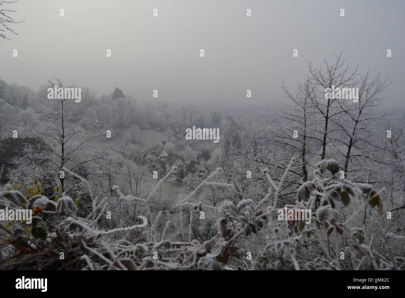 Freiburg winter germany hi-res stock photography and images - Alamy