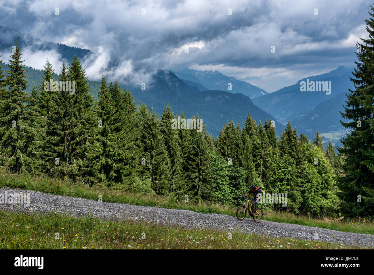 Pedal Assist High Resolution Stock Photography and Images - Alamy