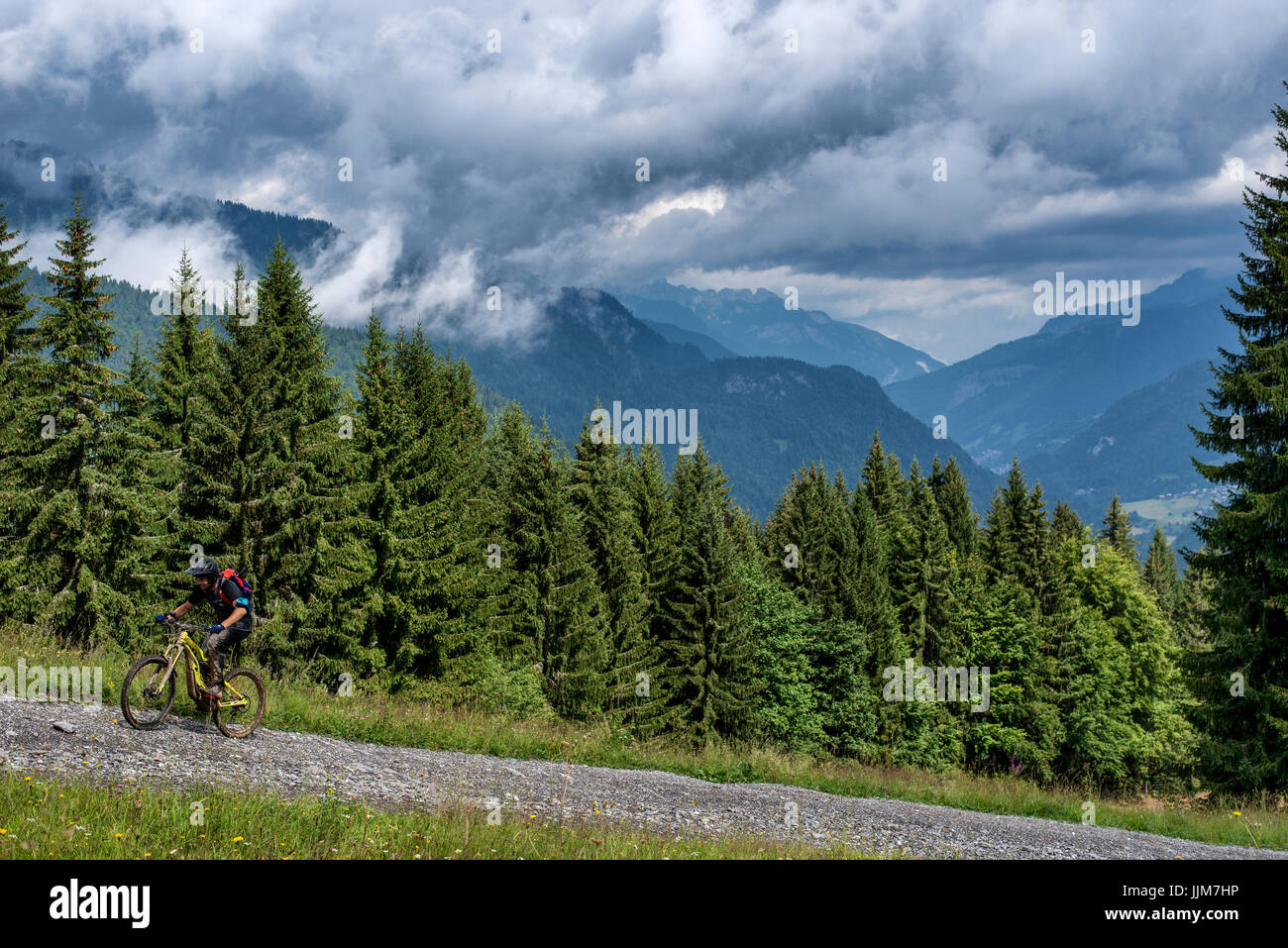 Pedal Assist High Resolution Stock Photography and Images - Alamy