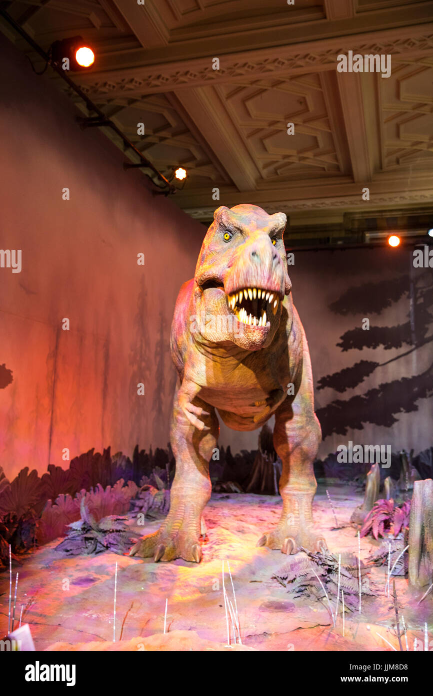 Animatronic T-rex dinosaur at Natural History Museum London Stock Photo ...
