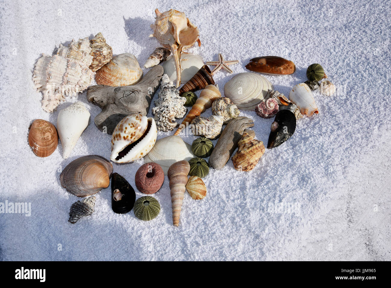 Still Life with shells, sandals and beach towel evoking holiday on ...