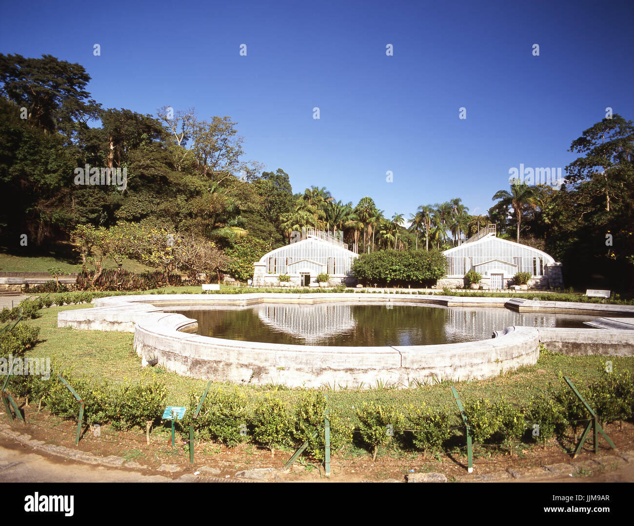 Botanical Garden, Sao Paulo, Brazil Stock Photo - Alamy