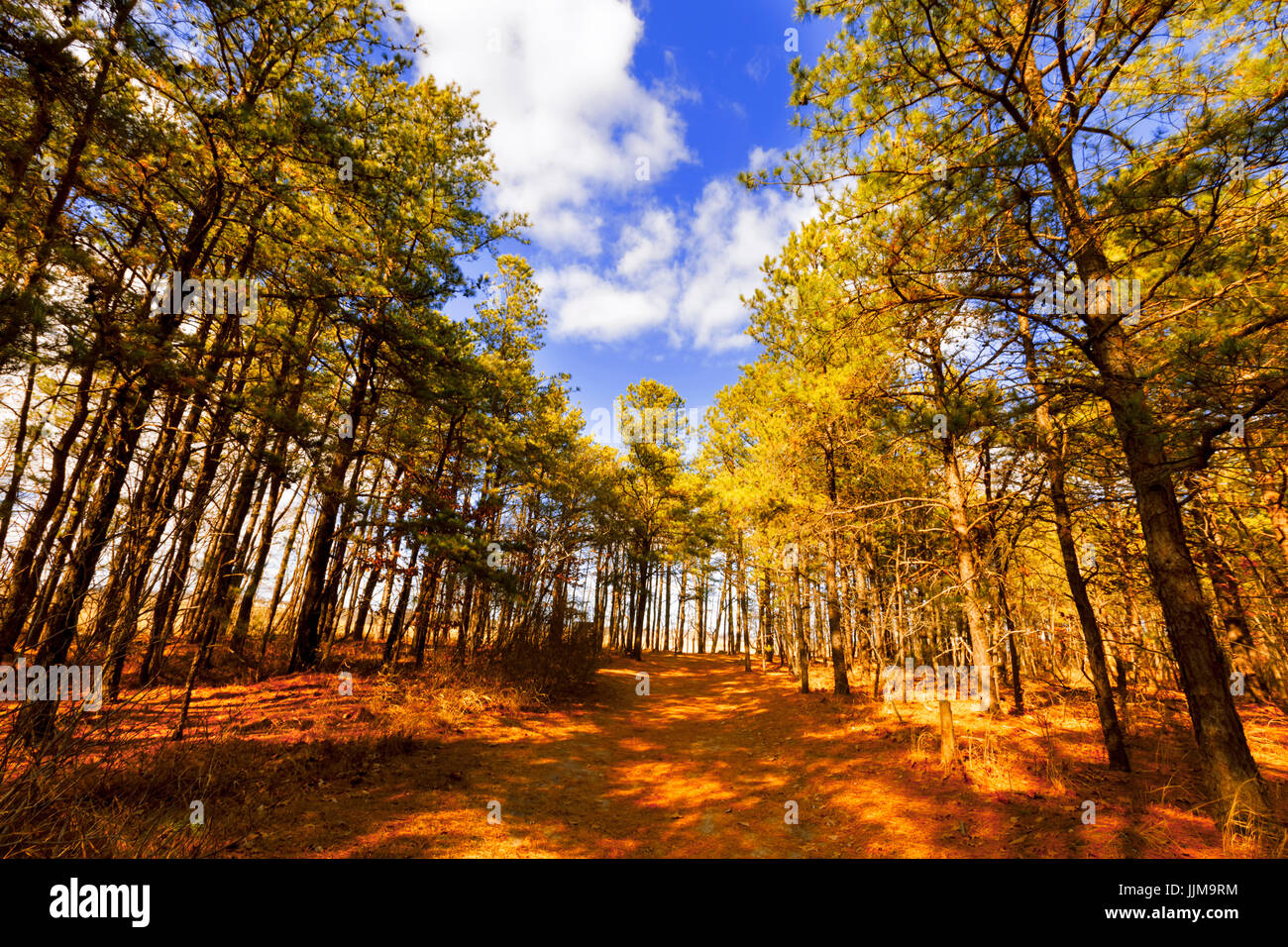 Colorful fall scenery Stock Photo - Alamy