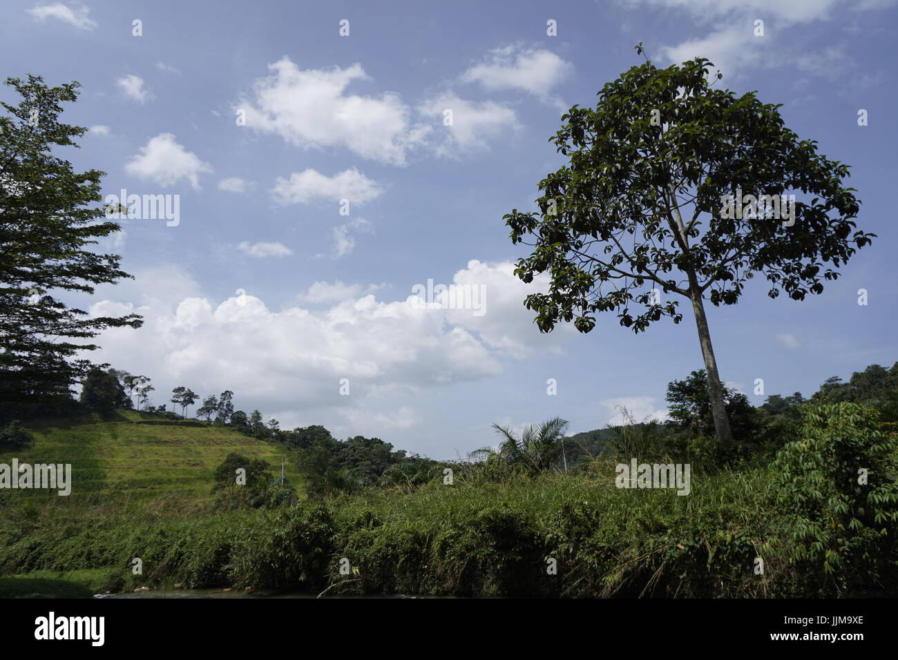 tropical countryside scenery in Malaysia Stock Photo - Alamy