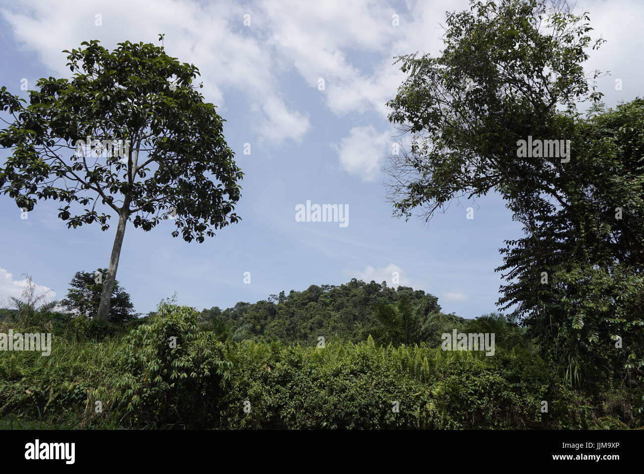 Countryside scenery hi-res stock photography and images - Alamy