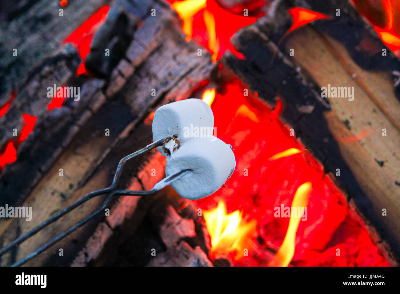 Roasting marshmallows for smores over an open campfire Stock Photo - Alamy