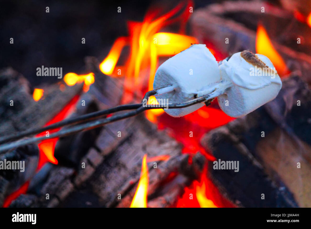 Roasting marshmallows for smores over a colorful campfire Stock Photo ...