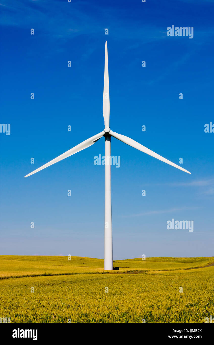 Environmental california hi-res stock photography and images - Alamy