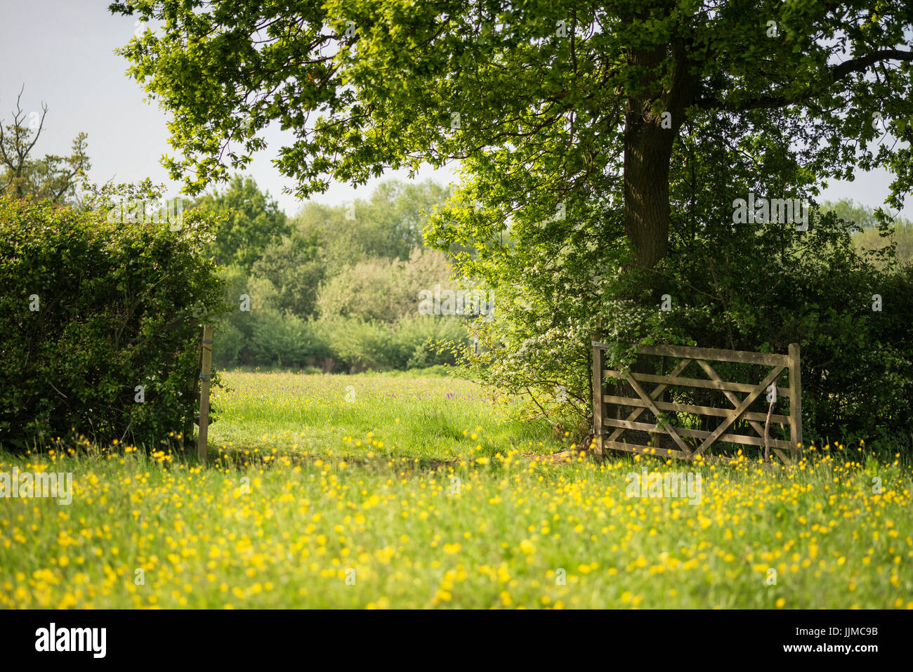 English countryside landscape image of meadow in Spring sunshine Stock ...