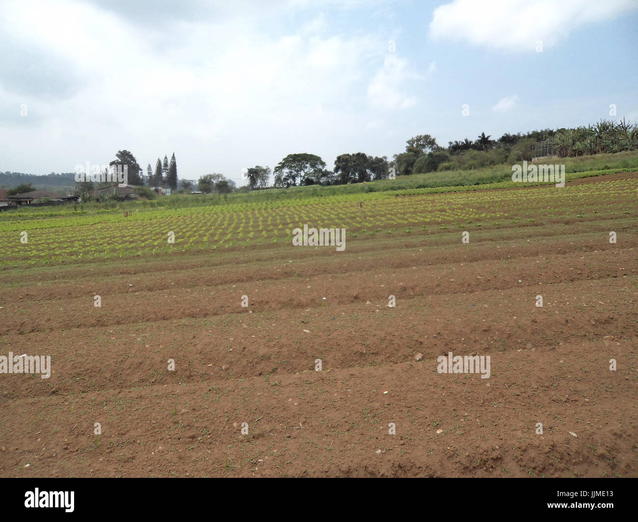 Field, Sao Paulo, Brazil Stock Photo - Alamy