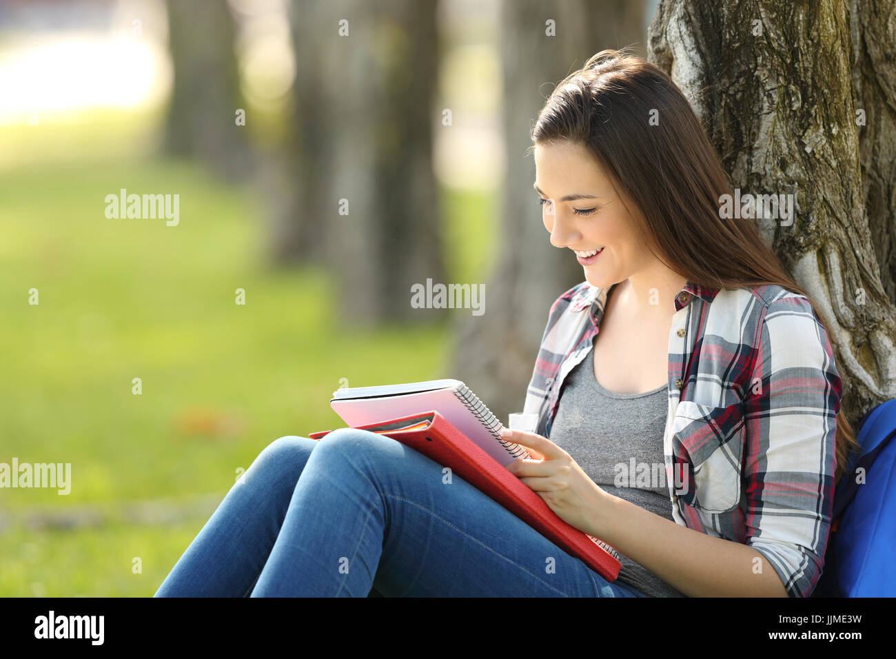 Student studying reading notes outside sitting on the grass in a park ...