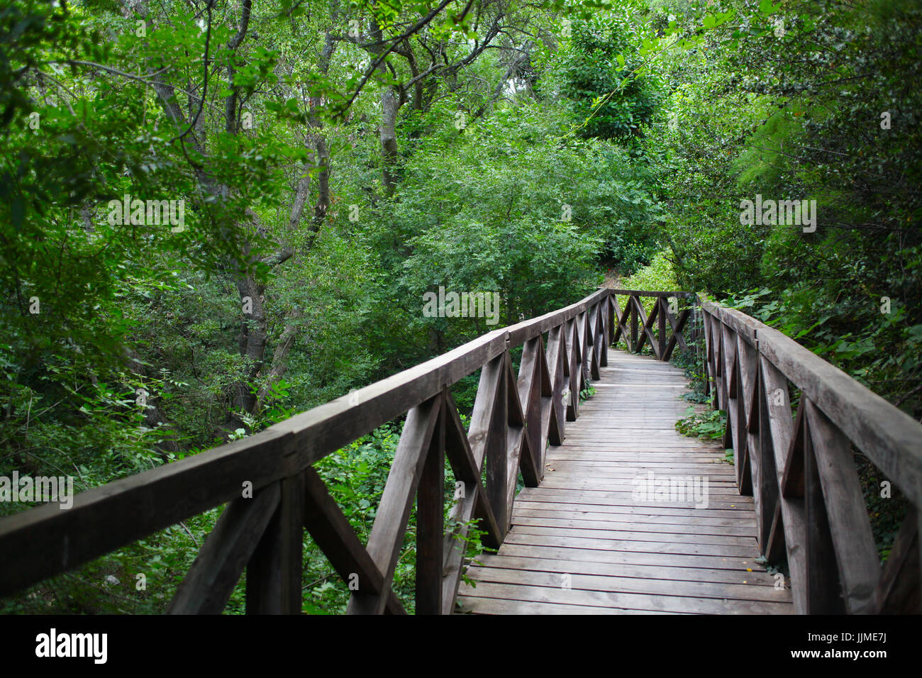 wooden bridge road in a rainforest landscape Stock Photo - Alamy