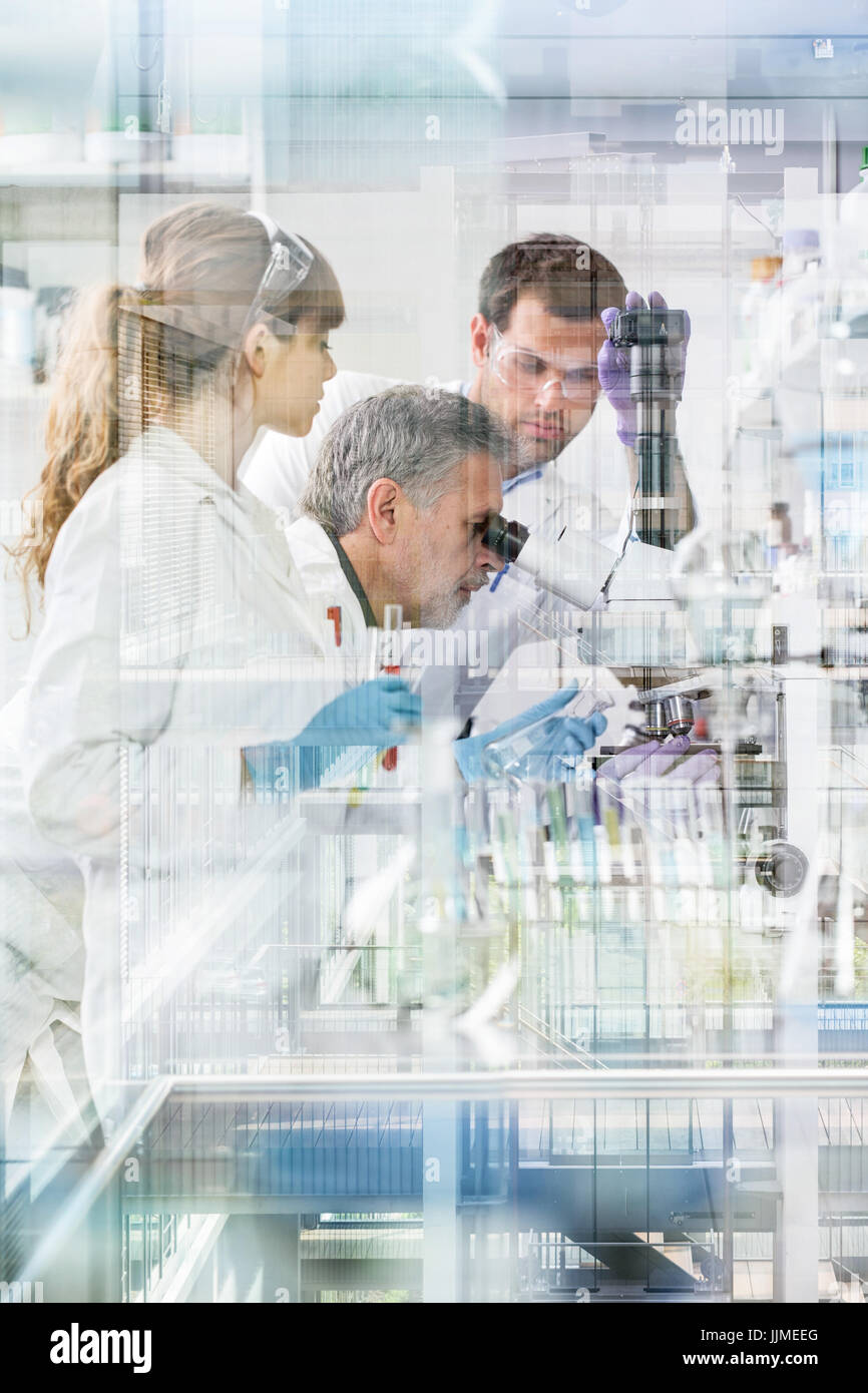 Scientific study hi-res stock photography and images - Alamy