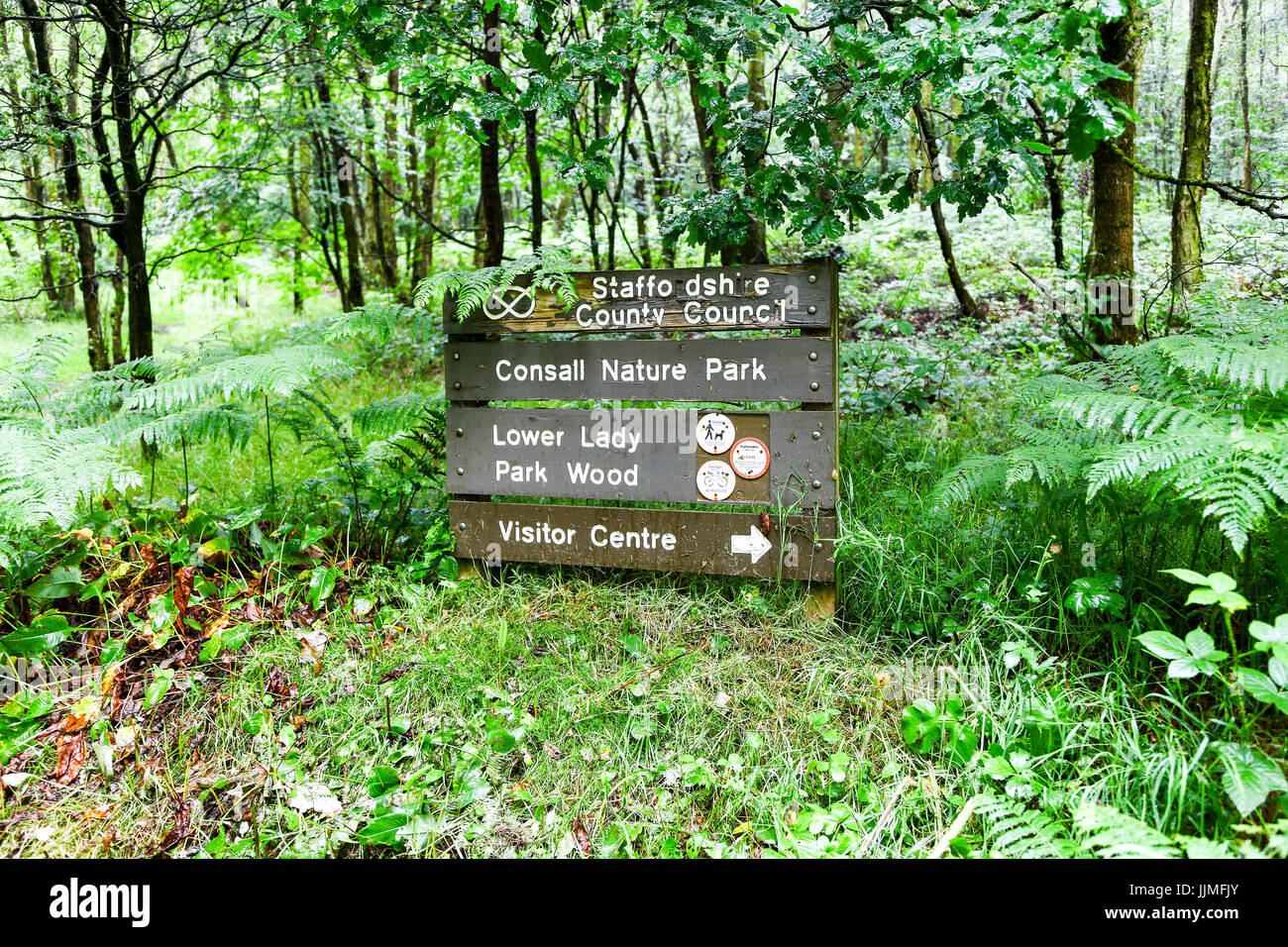 Nature lady hi-res stock photography and images - Alamy