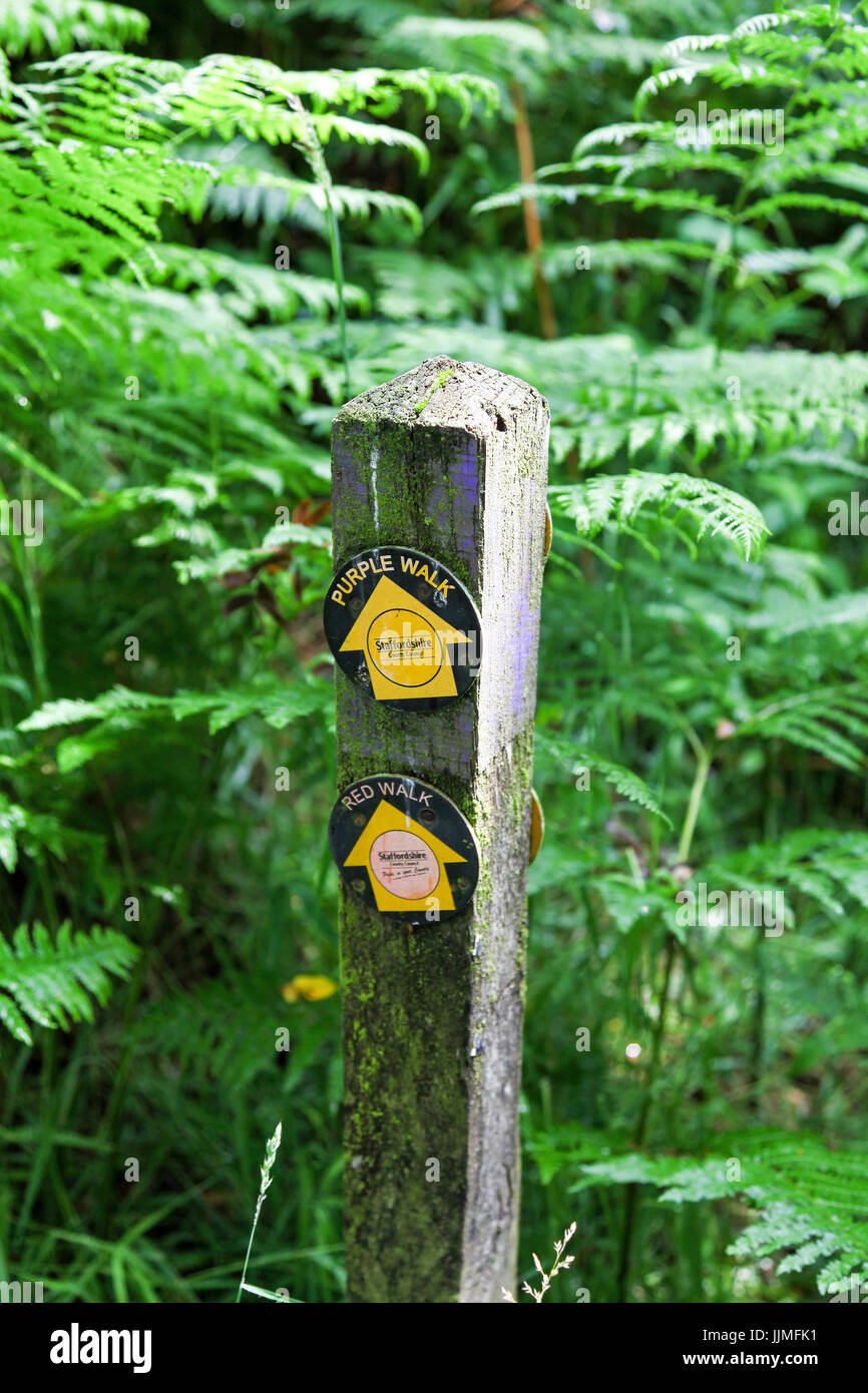 A wooden sign post or way marker saying 'Purple walk' and 'Red Walk' on ...