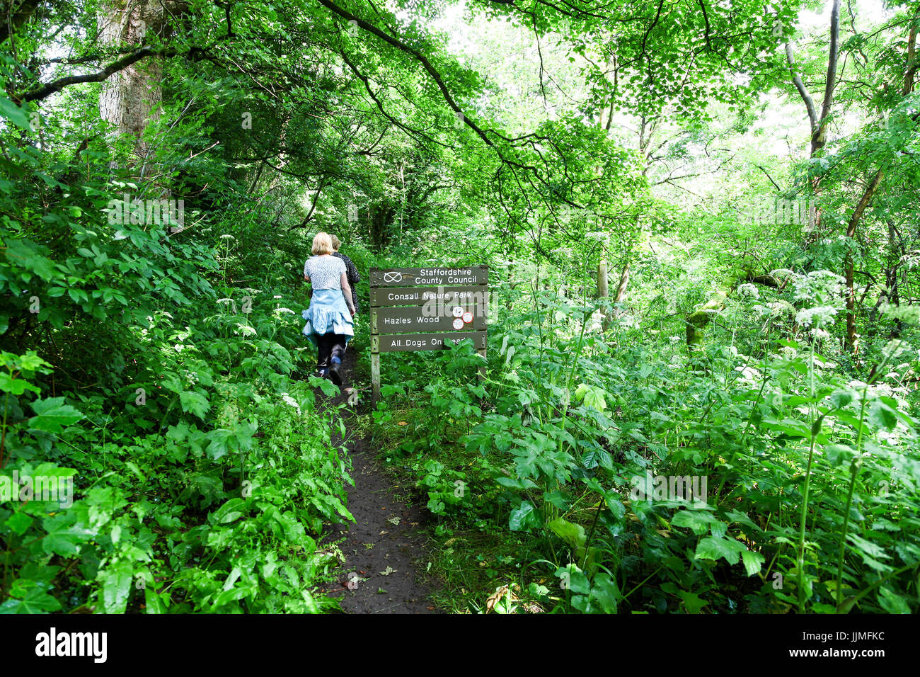 Consall nature park hi-res stock photography and images - Alamy