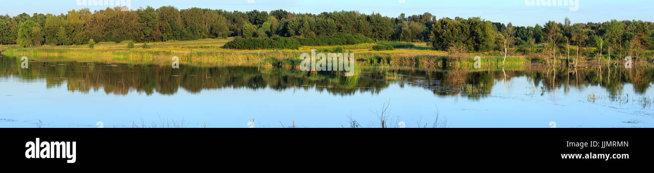 Evening summer lake landscape with plants reflections on water surface ...