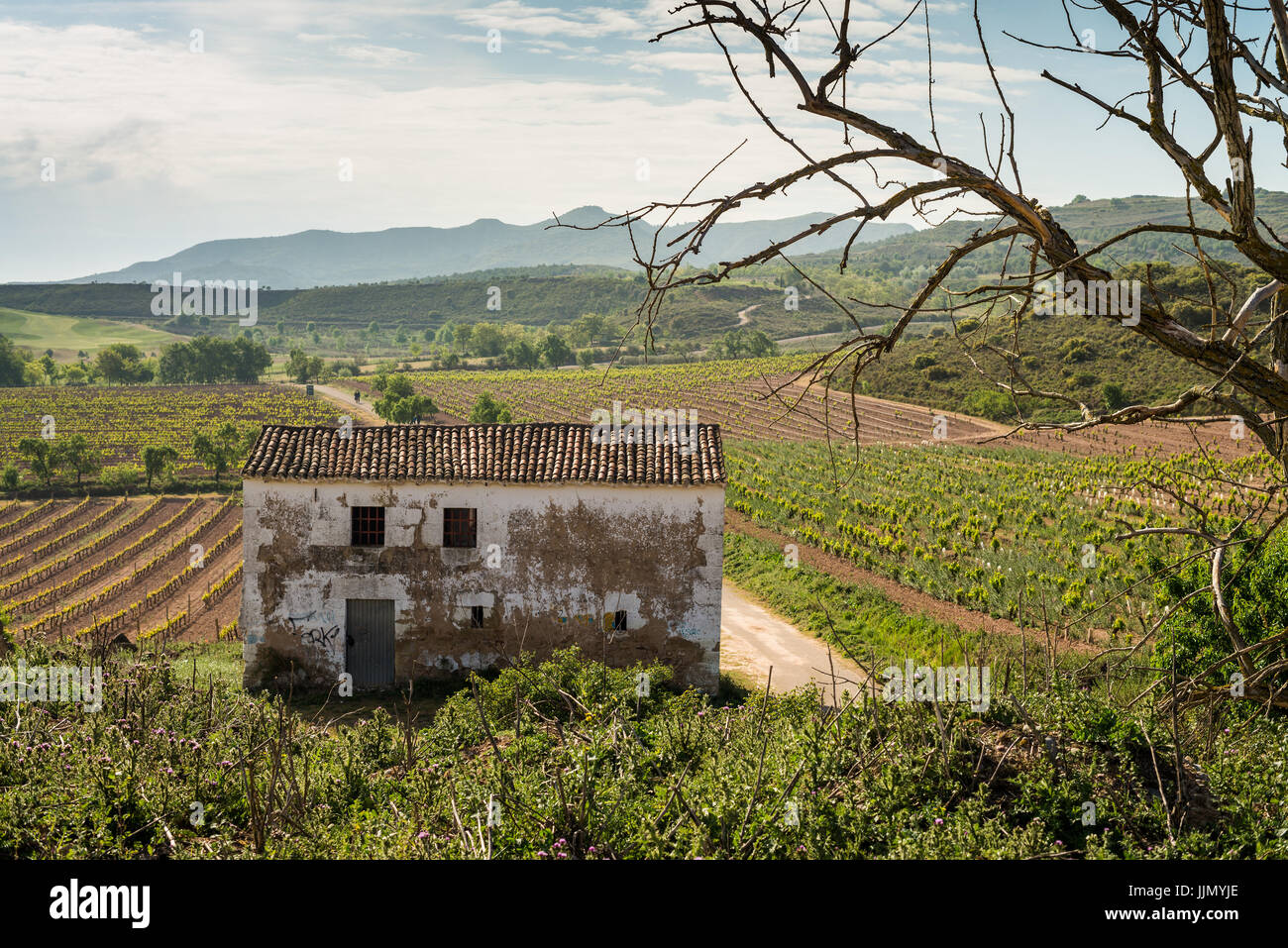 Rioja alta region hi-res stock photography and images - Alamy