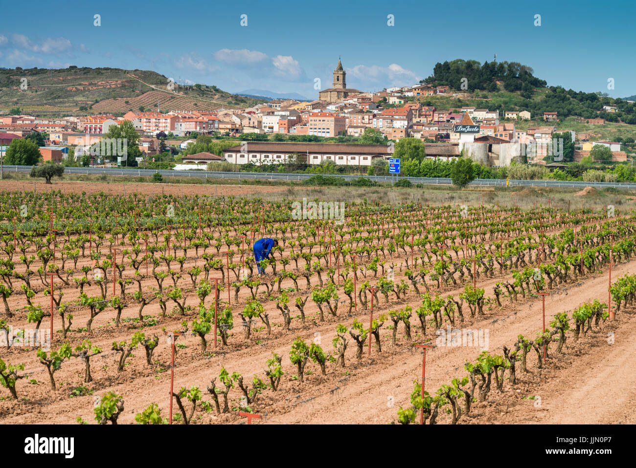 Rural landscape in summer day la rioja hi-res stock photography and ...