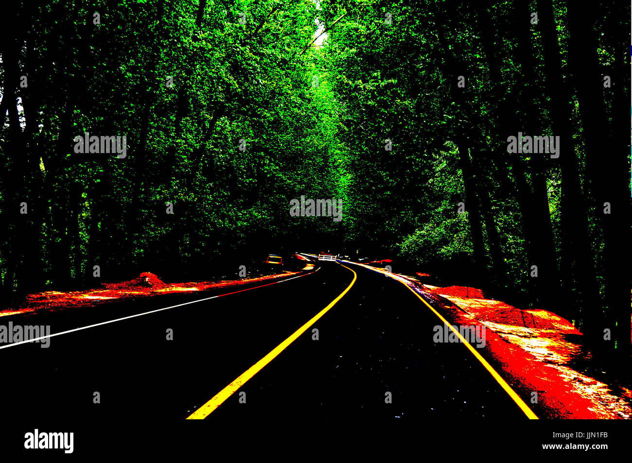 Tree on road, Srinagar, Kashmir, Himalaya, India (Photo Copyright ...