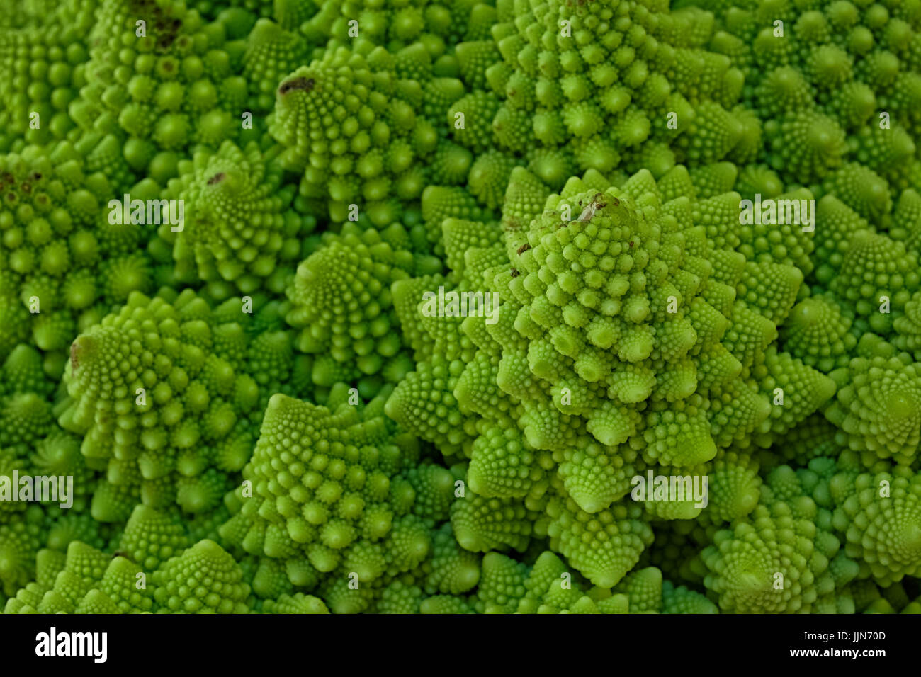 detail of texture of a Romanesco Broccoli, closeup or Roman cauliflower ...