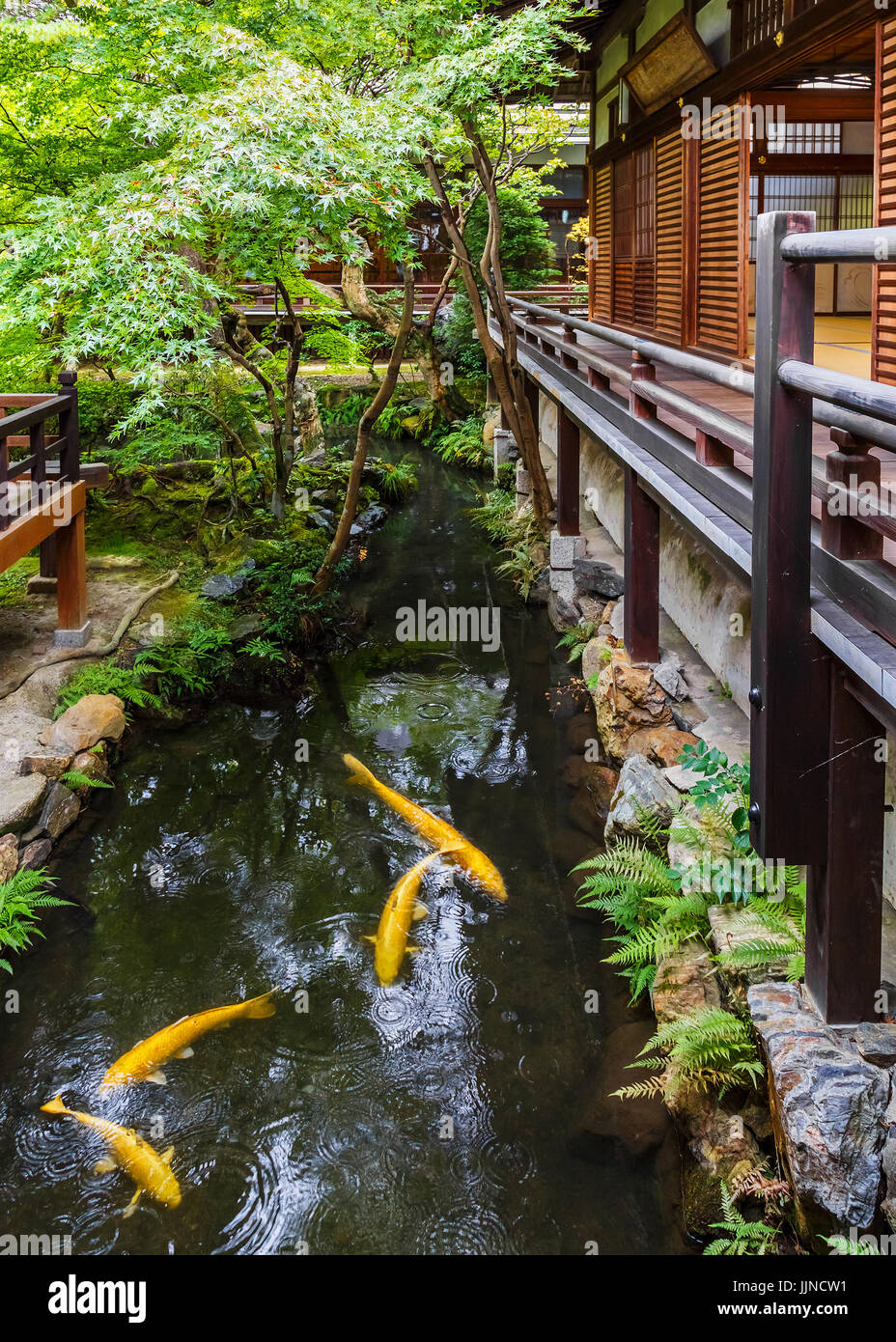 Eikando Zenrin-ji Temple in Kyoto, Japan Stock Photo - Alamy