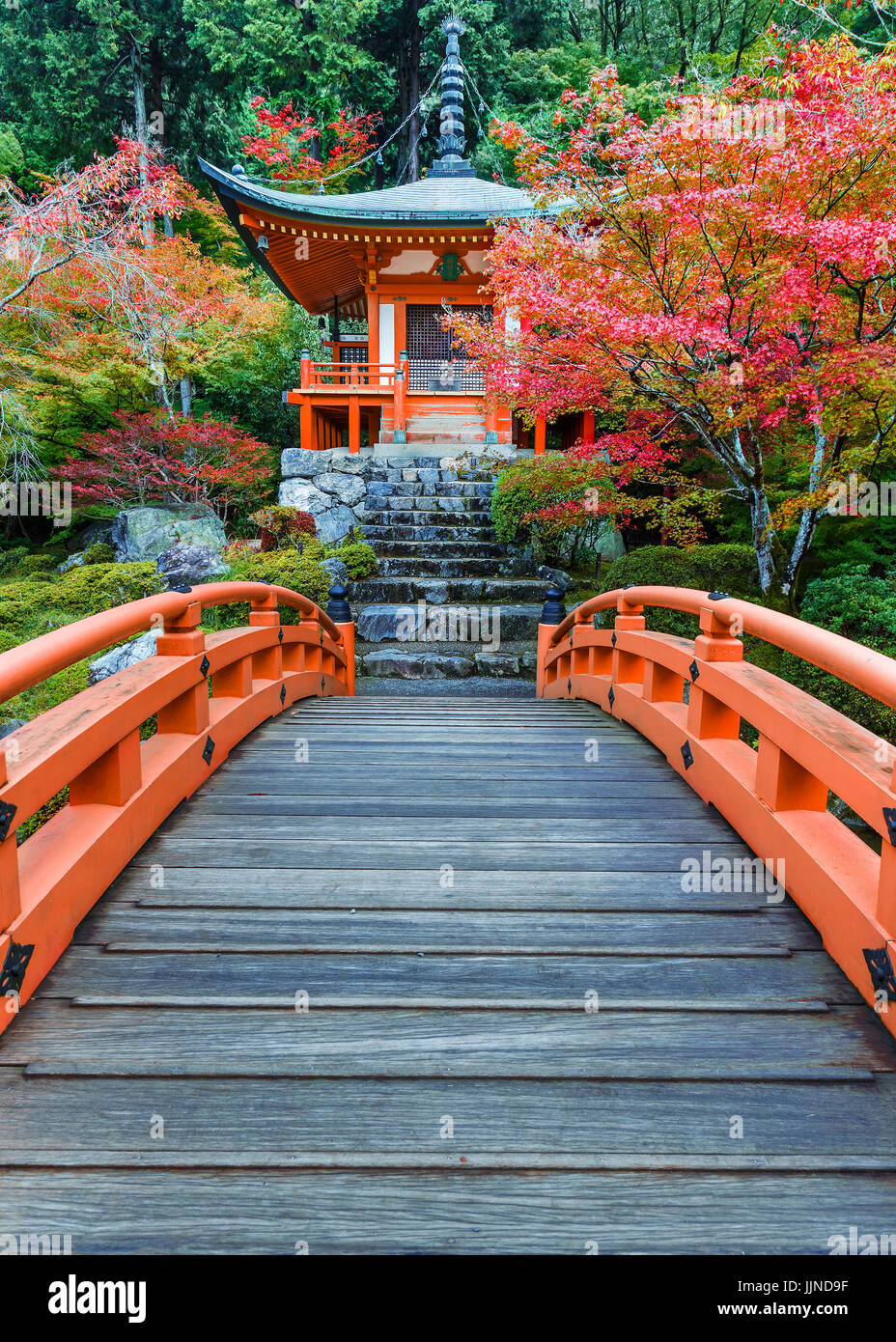 Colorful Autumn at Daigoji Temple in Kyoto, Japan Stock Photo - Alamy