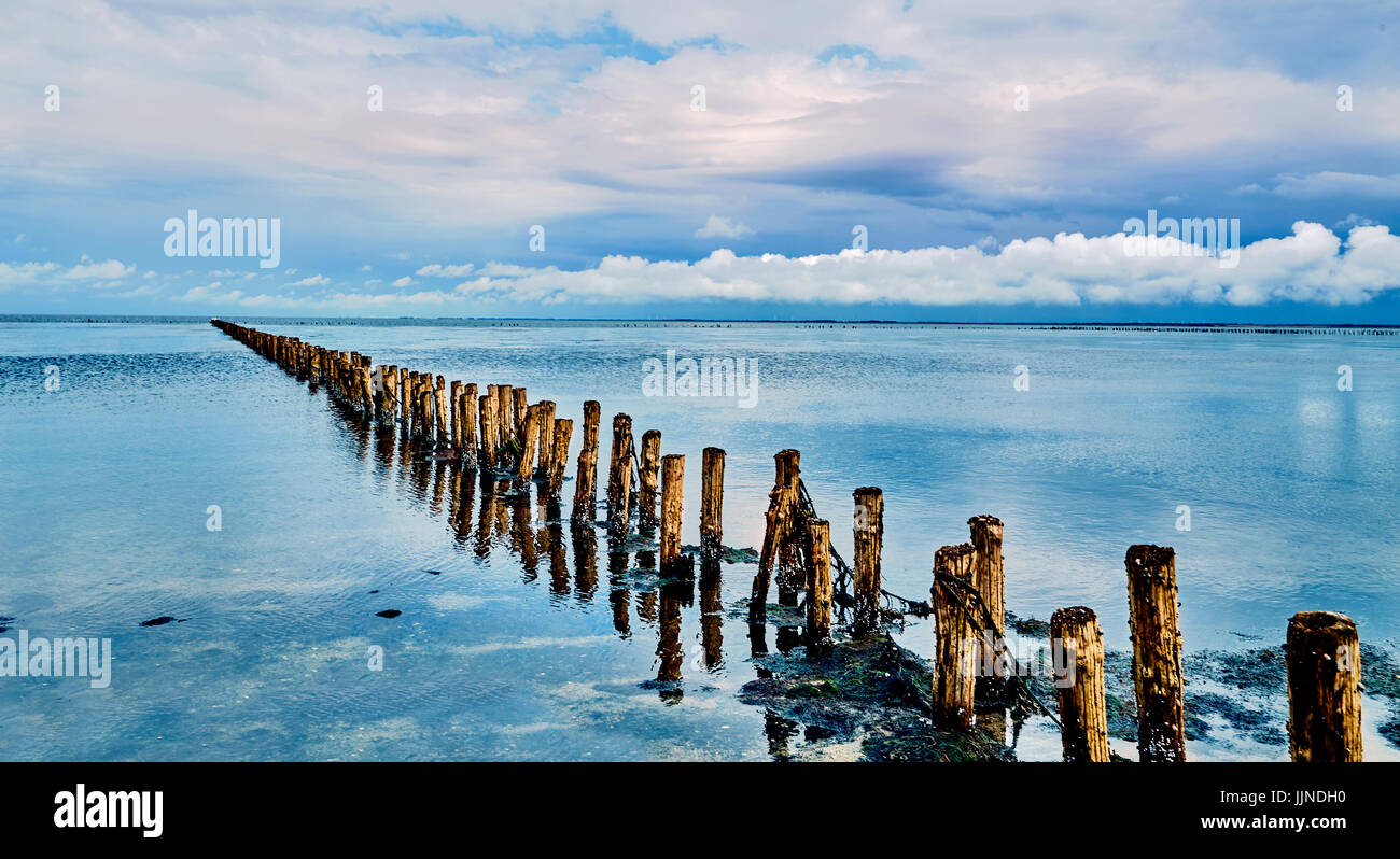lot of wooden poles standing in water Stock Photo - Alamy