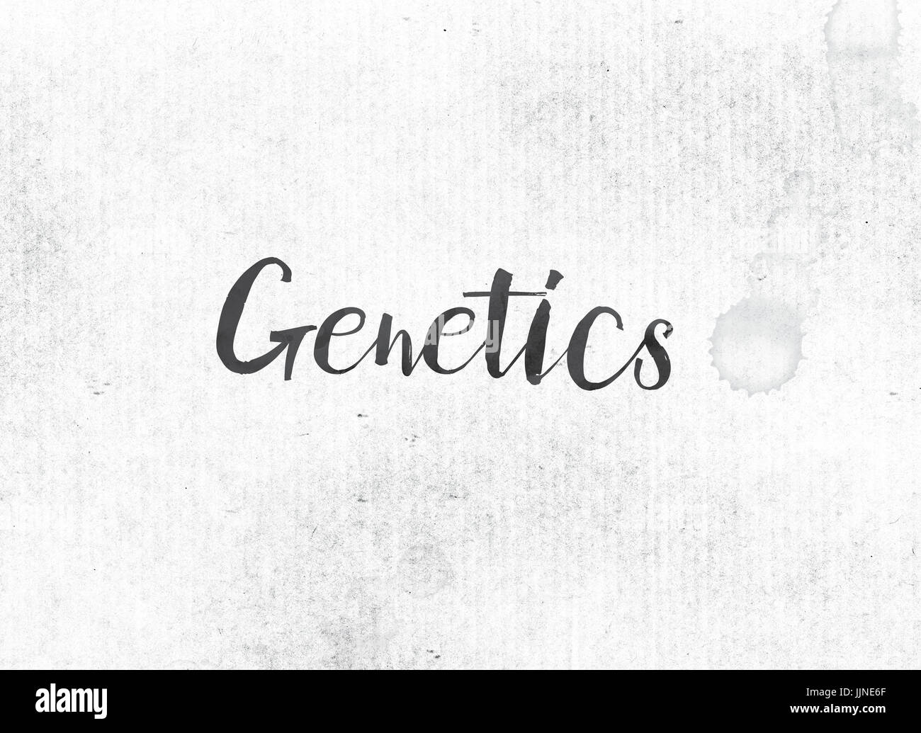 The word Genetics concept and theme painted in black ink on a ...